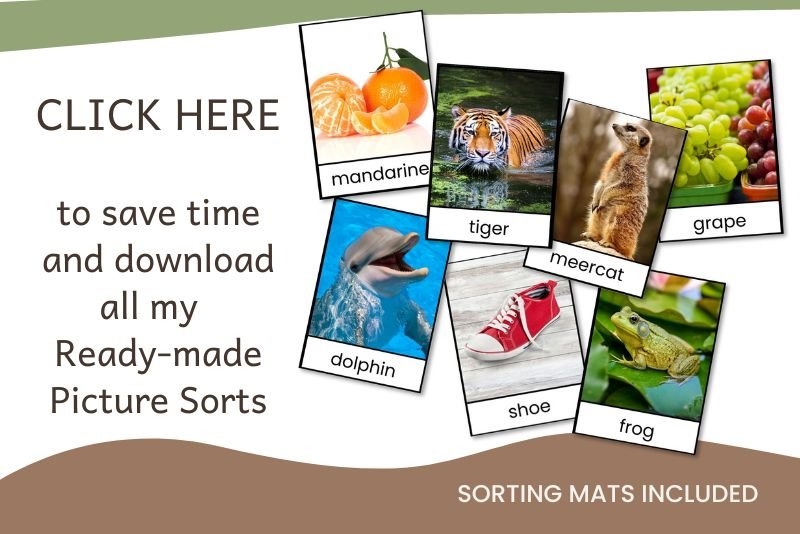 6 Ways to Use Picture Sorts in the Classroom — My Teaching Cupboard