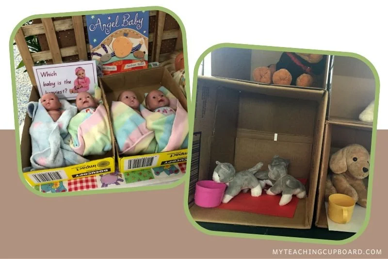 The Enclosing Schema — My Teaching Cupboard