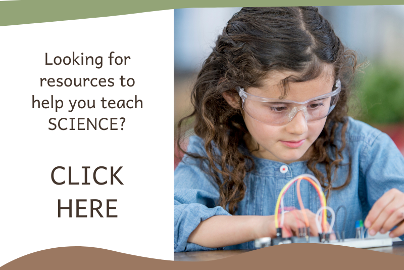 Science Provocations - How Things Move — My Teaching Cupboard