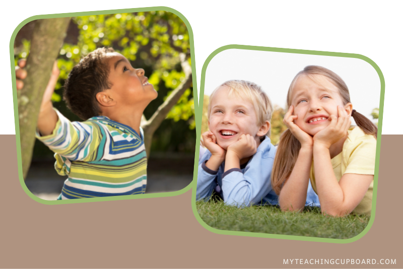 The Orientation Schema — My Teaching Cupboard