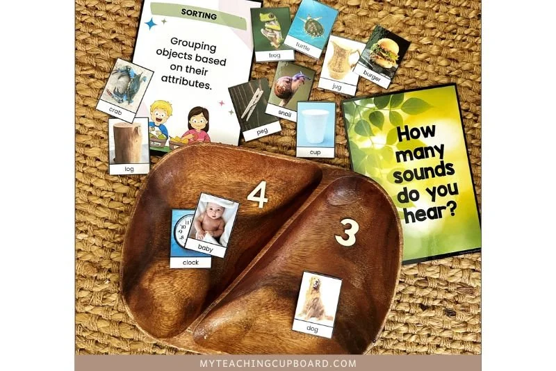 6 Ways to Use Picture Sorts in the Classroom — My Teaching Cupboard