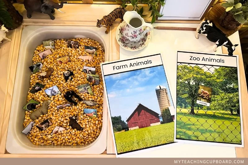 6 Ways to Use Picture Sorts in the Classroom — My Teaching Cupboard