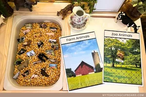 6 Ways to Use Picture Sorts in the Classroom — My Teaching Cupboard