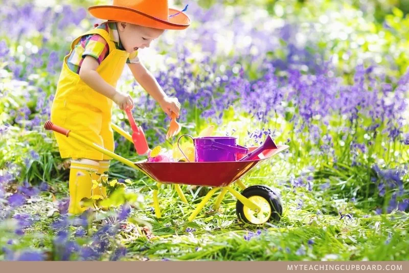 The Transporting Schema — My Teaching Cupboard