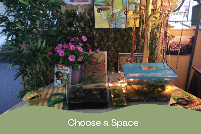 Science Provocations – Living Things — My Teaching Cupboard