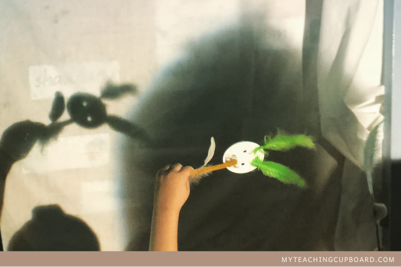 The Orientation Schema — My Teaching Cupboard