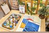 6 Ways to Use Picture Sorts in the Classroom — My Teaching Cupboard