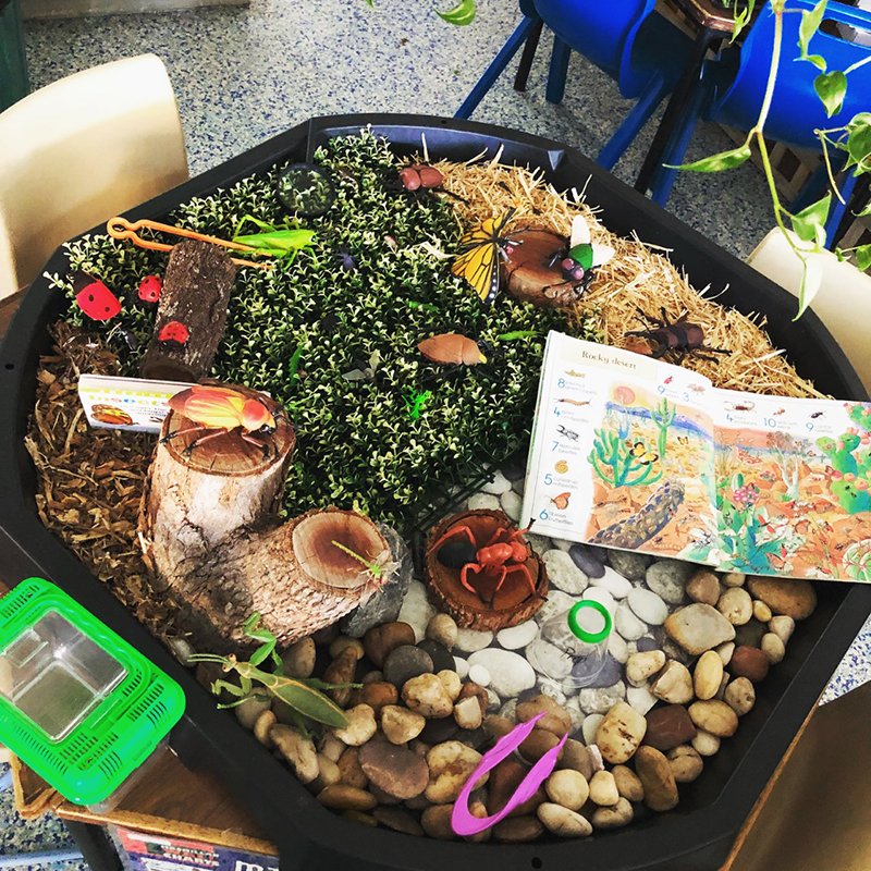 Science Provocations – Living Things — My Teaching Cupboard