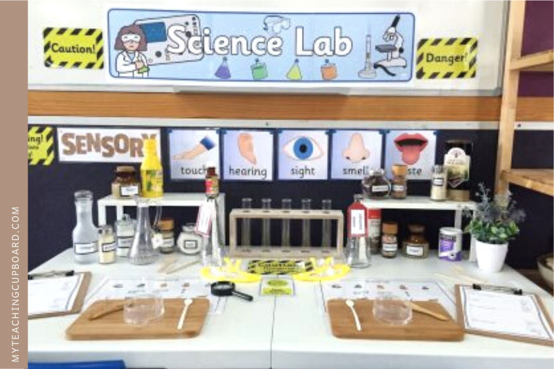 The Transforming Schema — My Teaching Cupboard