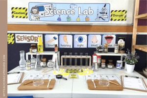 The Transforming Schema — My Teaching Cupboard