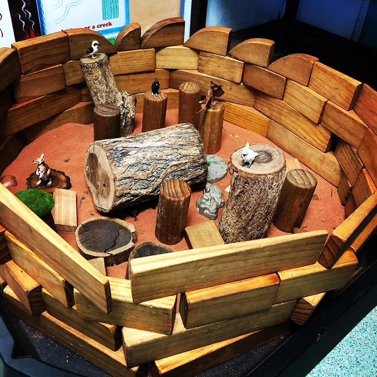 Science Provocations – Living Things — My Teaching Cupboard