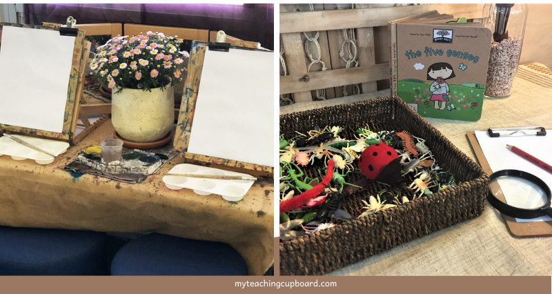 Reggio Emilia Provocations — My Teaching Cupboard