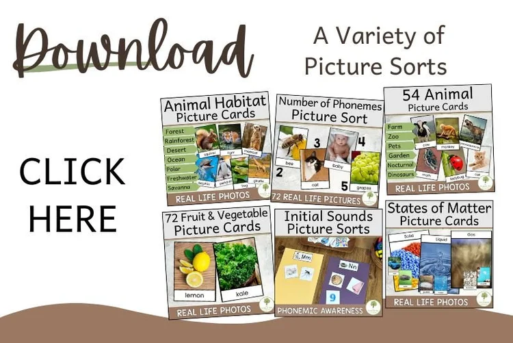 6 Ways to Use Picture Sorts in the Classroom — My Teaching Cupboard