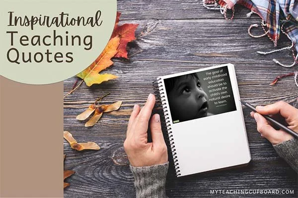 72 Inspirational Learning Through Play Quotes — My Teaching Cupboard