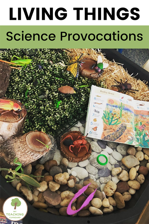 Science Provocations – Living Things — My Teaching Cupboard