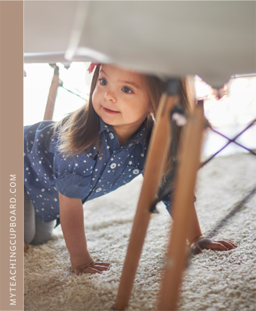 The Orientation Schema — My Teaching Cupboard