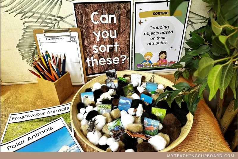 6 Ways to Use Picture Sorts in the Classroom — My Teaching Cupboard