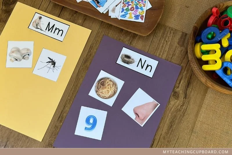 6 Ways to Use Picture Sorts in the Classroom — My Teaching Cupboard