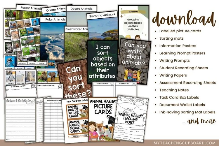 6 Ways to Use Picture Sorts in the Classroom — My Teaching Cupboard