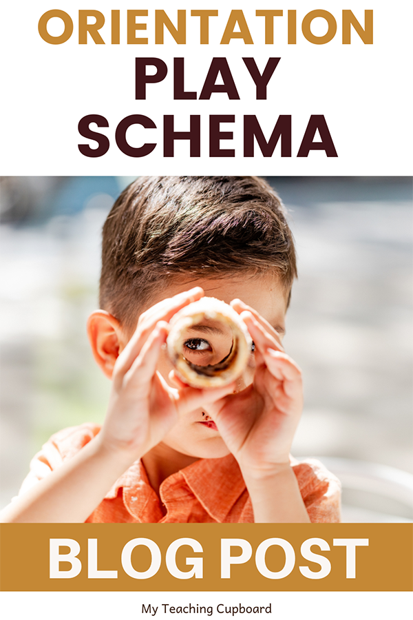 The Orientation Schema — My Teaching Cupboard