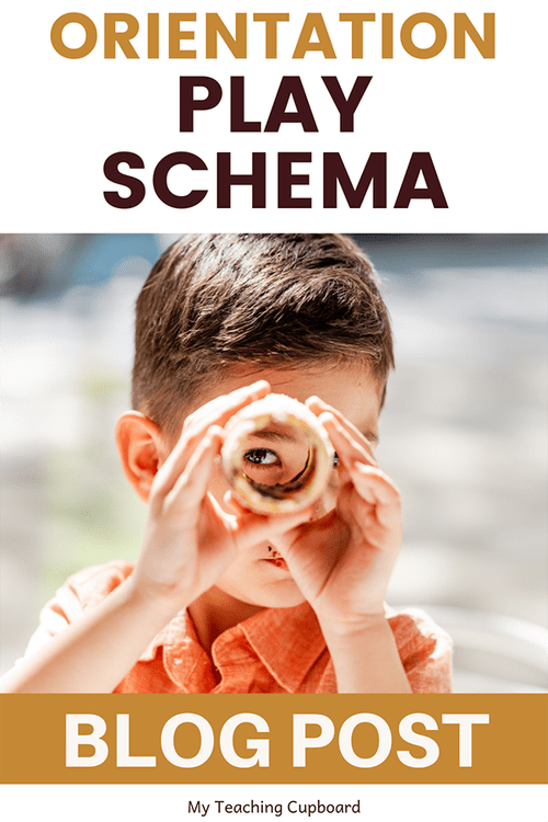 The Orientation Schema — My Teaching Cupboard