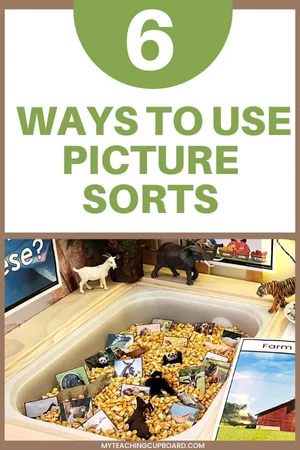 6 Ways to Use Picture Sorts in the Classroom — My Teaching Cupboard