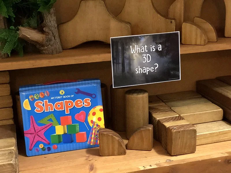 23 Loose Parts Ideas for Early Childhood Math — My Teaching Cupboard