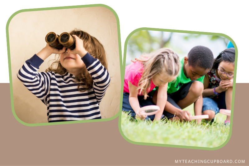 The Orientation Schema — My Teaching Cupboard