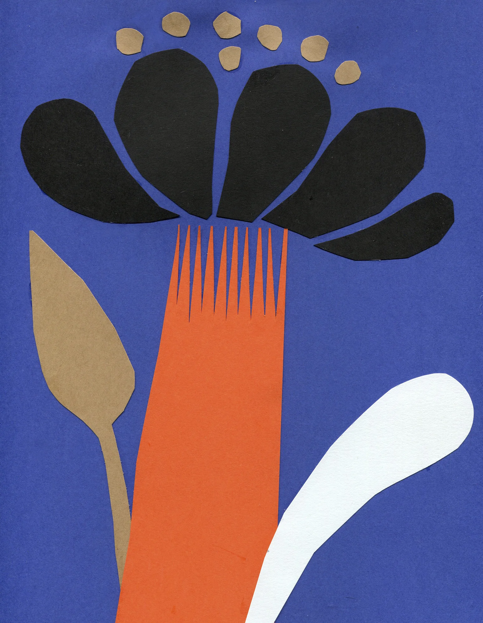 Carlos Aponte — Illustration division