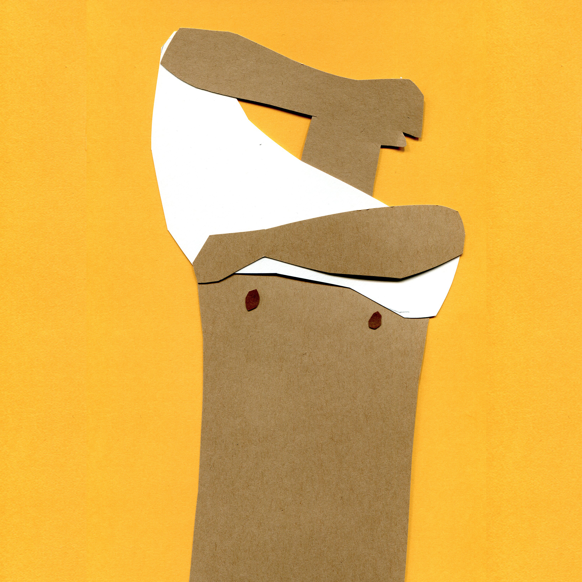 Carlos Aponte — Illustration division