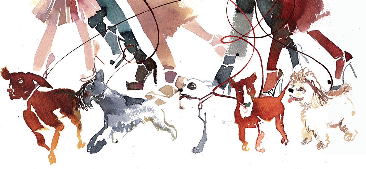 Bil Donovan — Illustration division