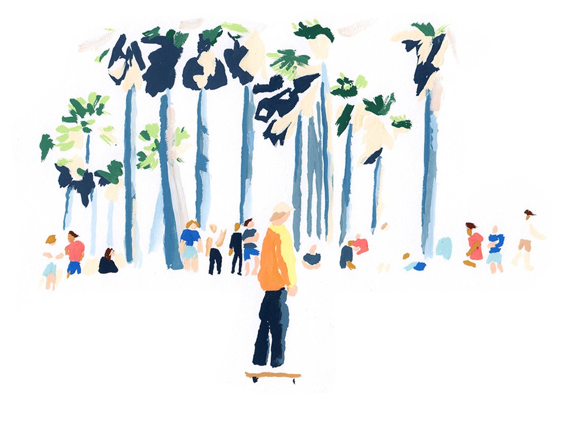 Illustration Division — Illustration division