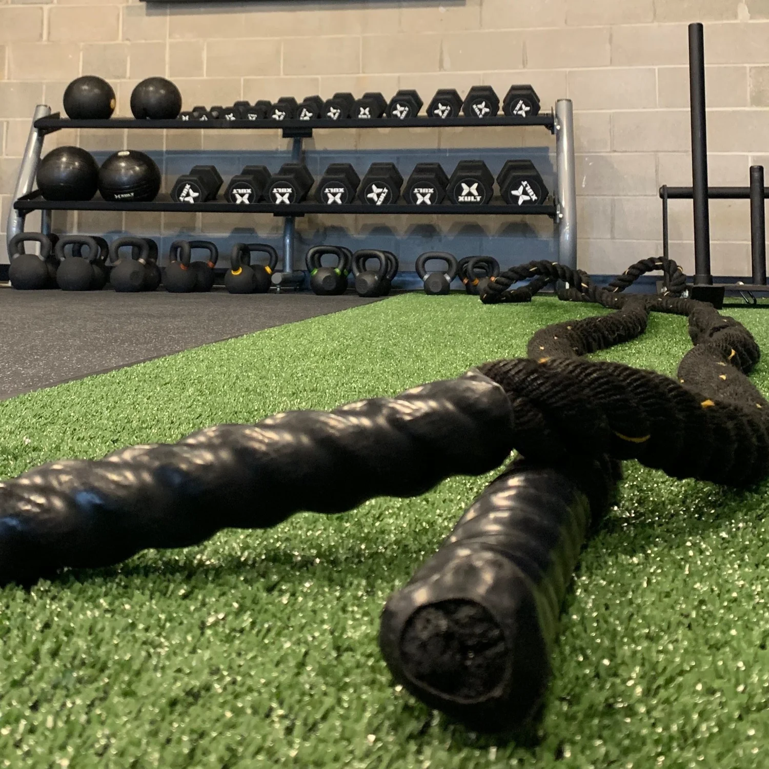 Peter Kraus Fitness | Personal Training, Contrast Therapy, Classes in ...