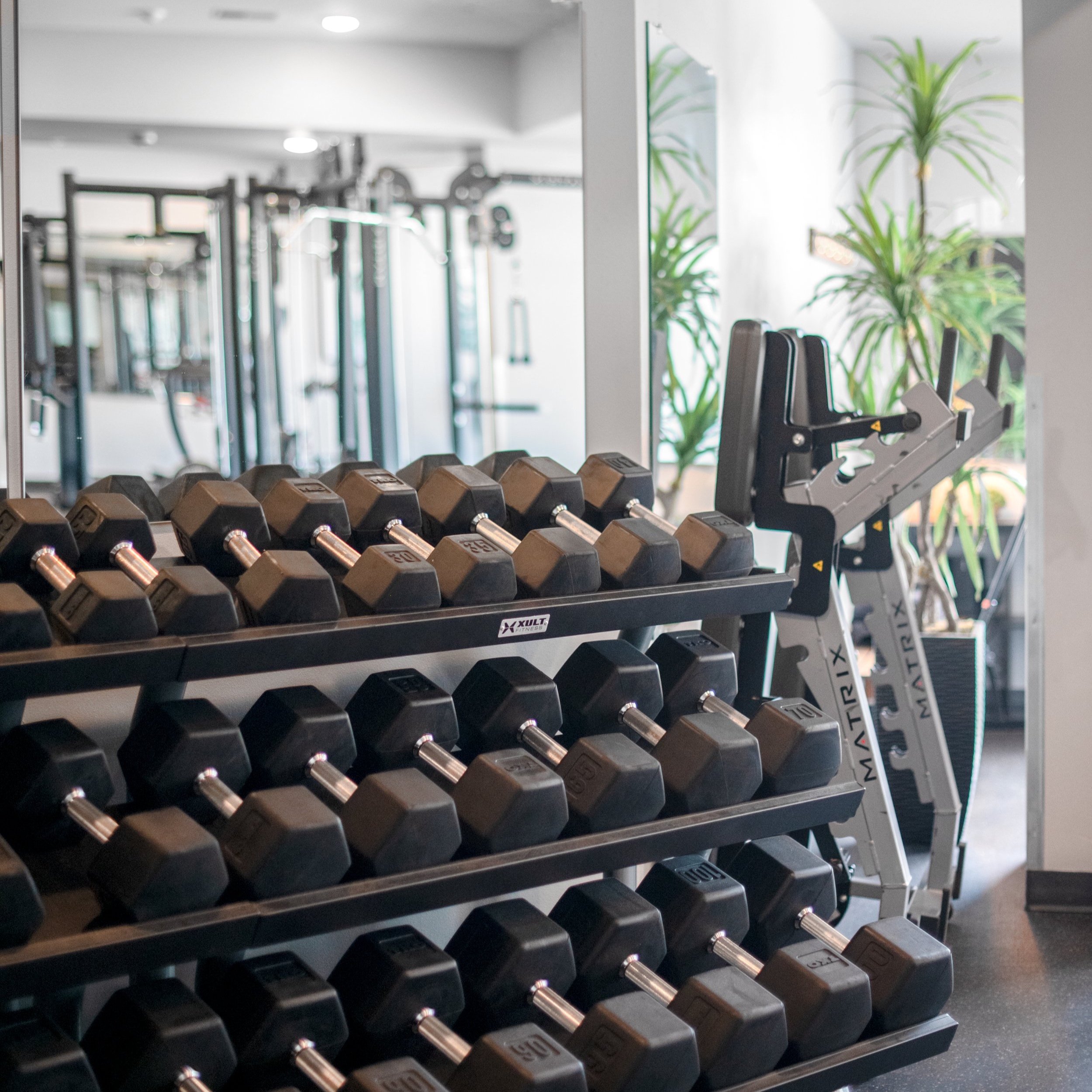 Peter Kraus Fitness | Personal Training, Contrast Therapy, Classes in ...