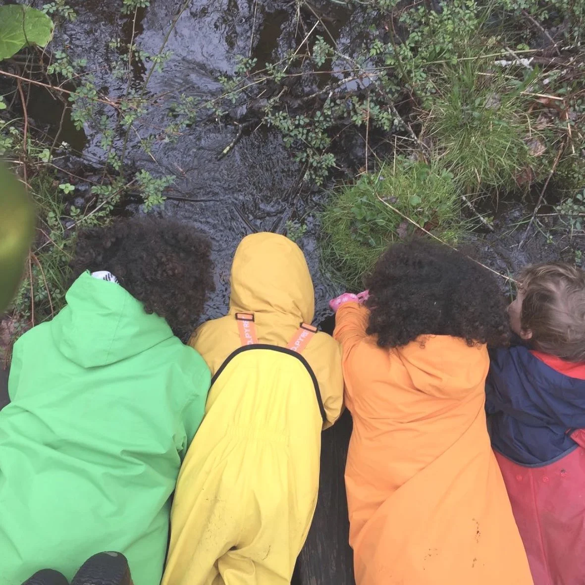 Elements Learning Collaborative