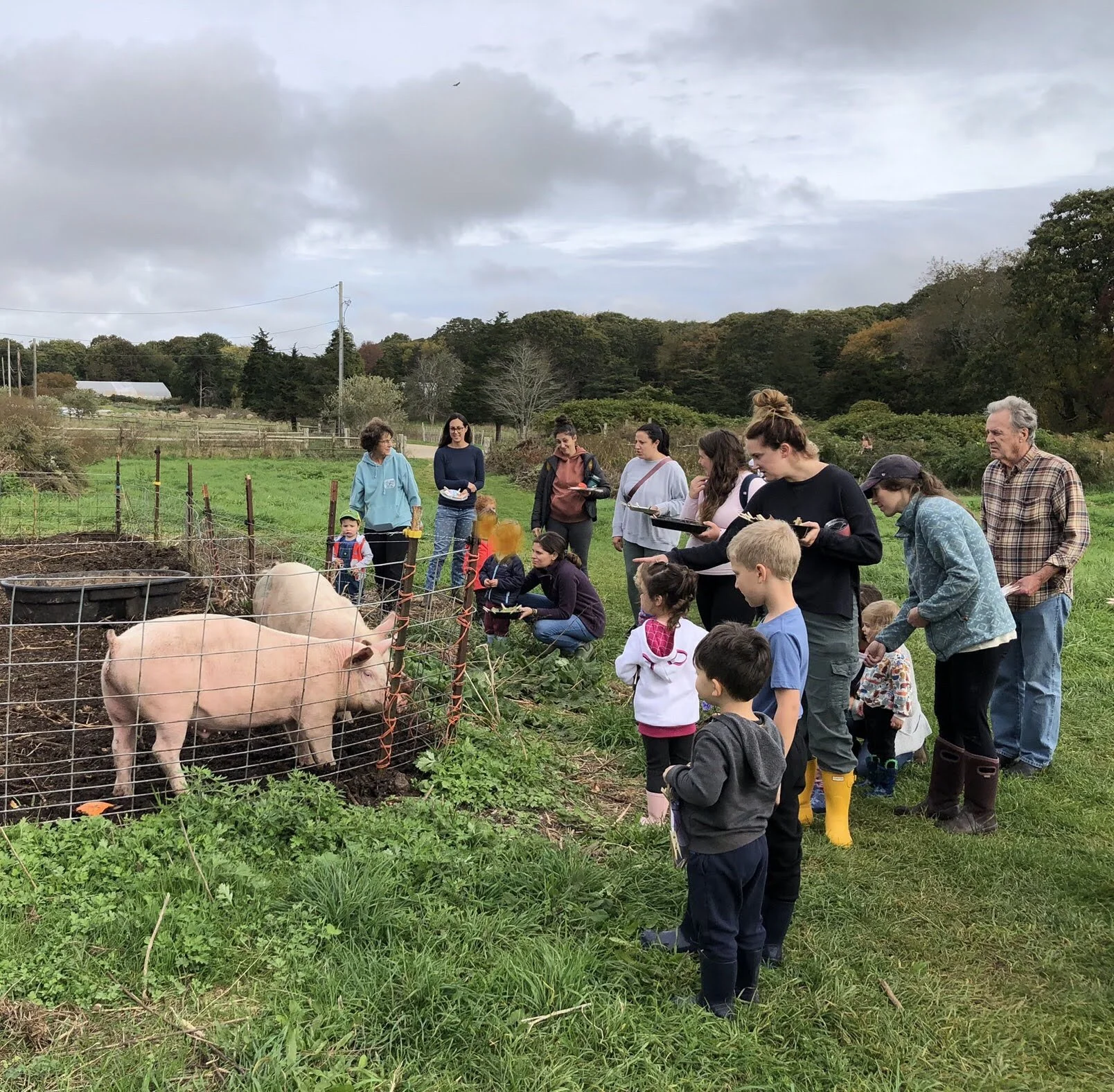 Elements Learning Collaborative