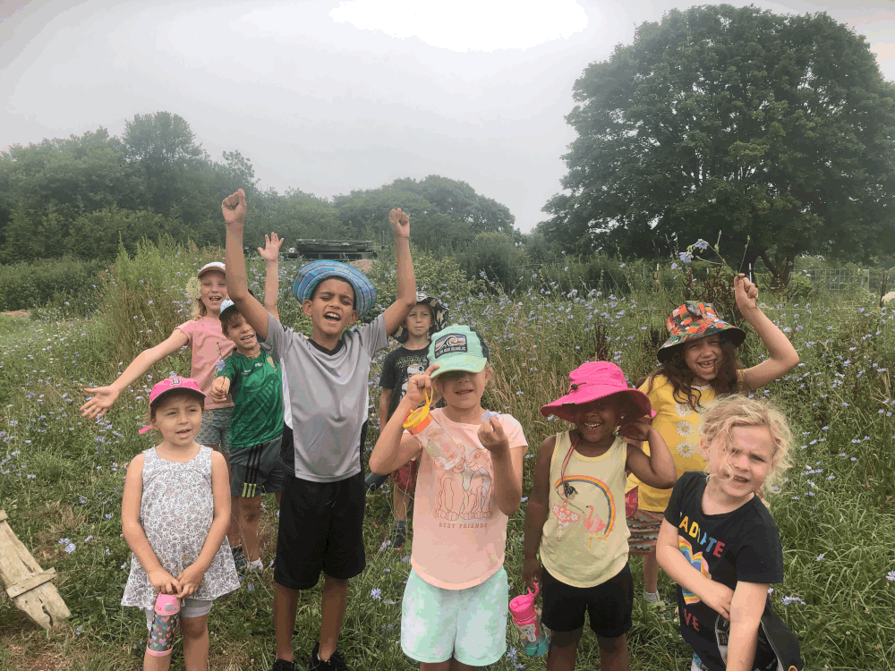 Elements Learning Collaborative