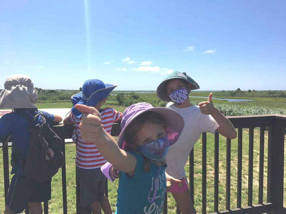 Elements Learning Collaborative