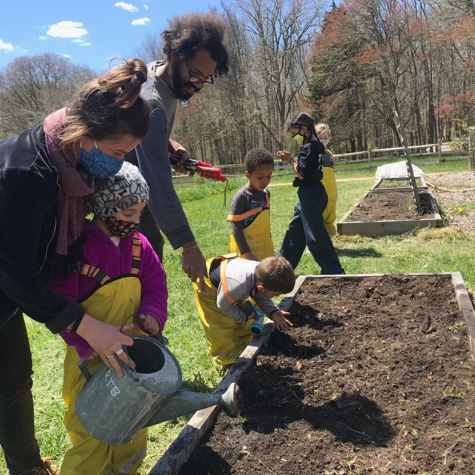 Elements Learning Collaborative