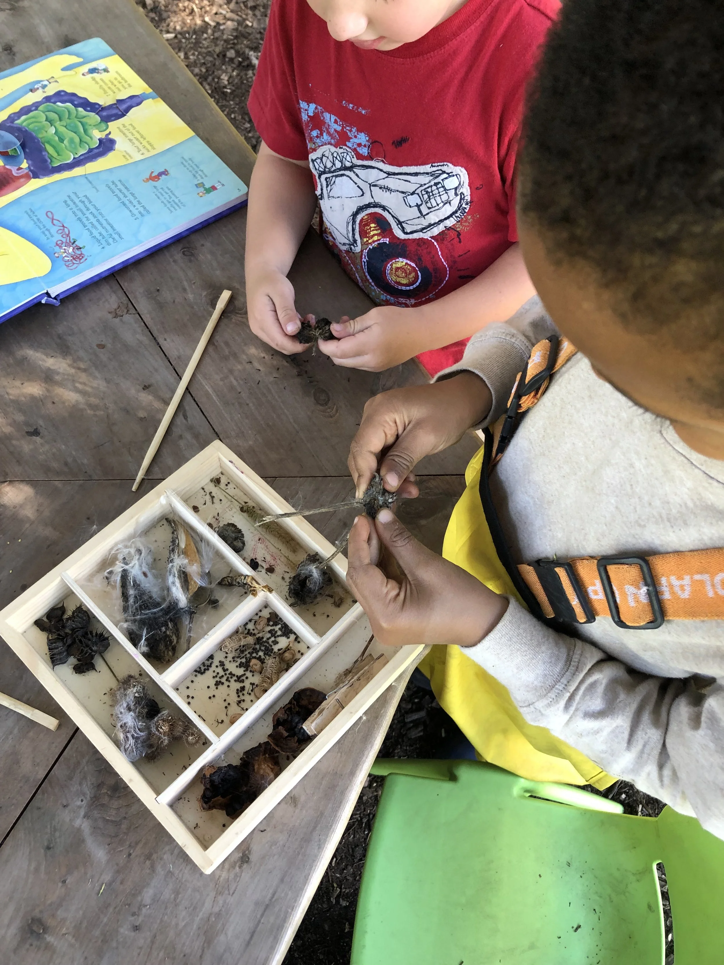 OUR STORY — Elements Learning Collaborative