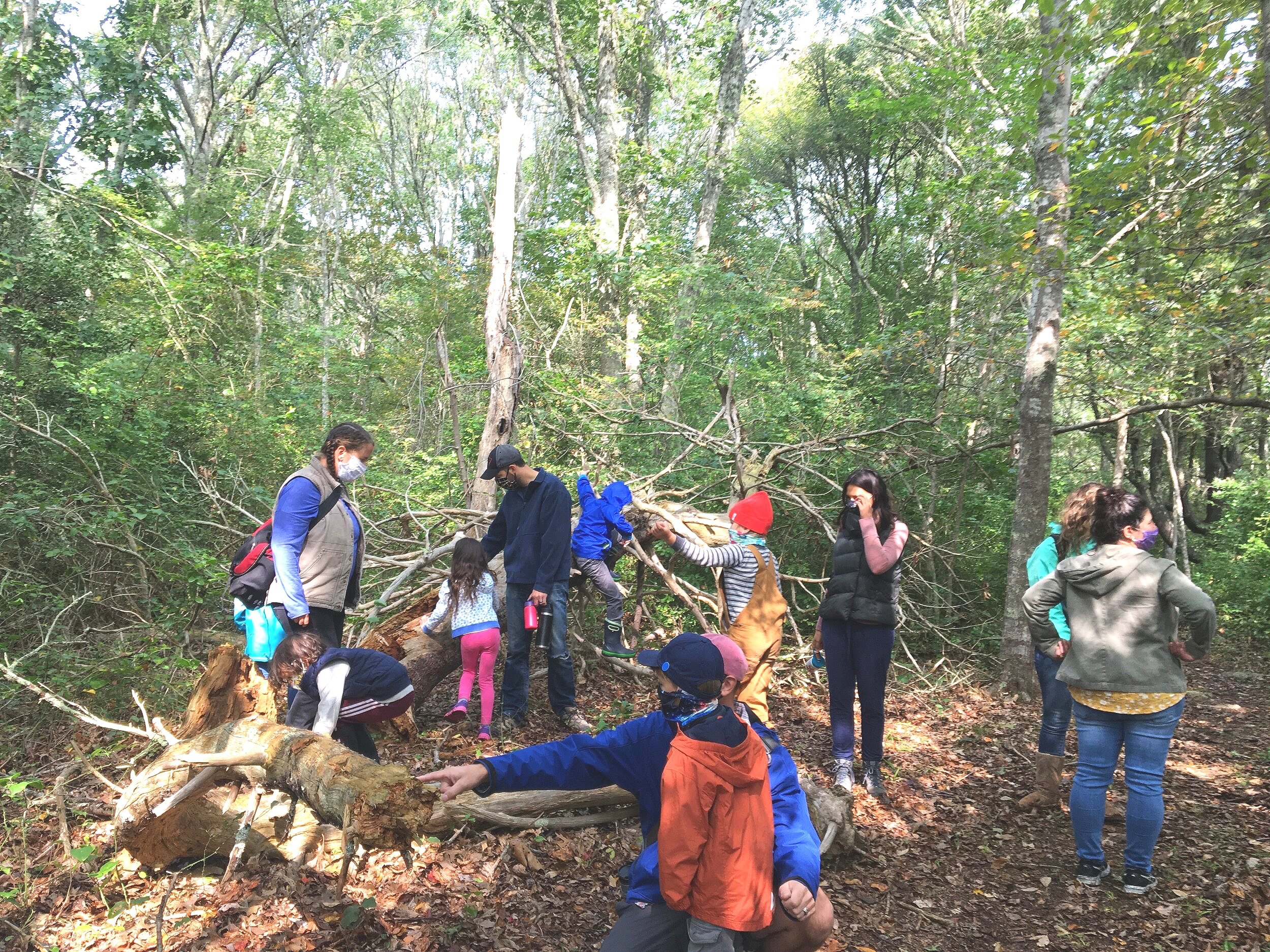 Elements Learning Collaborative