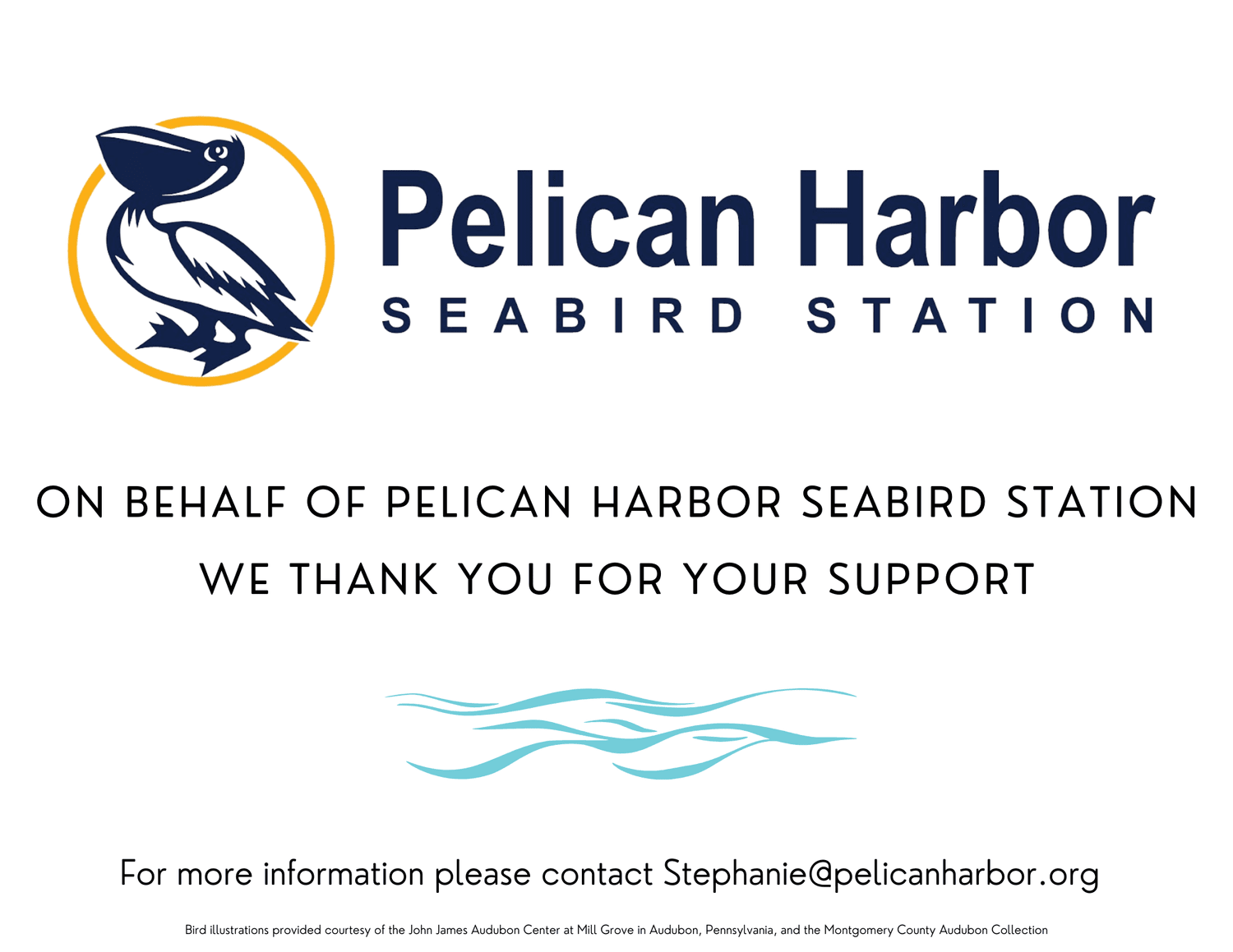 Pelican Party Sponsorships — Pelican Harbor Seabird Station