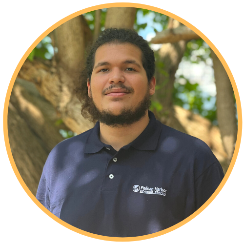 Our Staff — Pelican Harbor Seabird Station