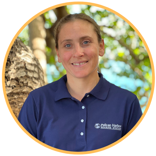 Julie D'Errico — Pelican Harbor Seabird Station