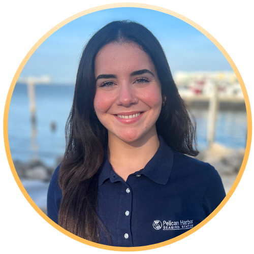 Melanie Rendon — Pelican Harbor Seabird Station