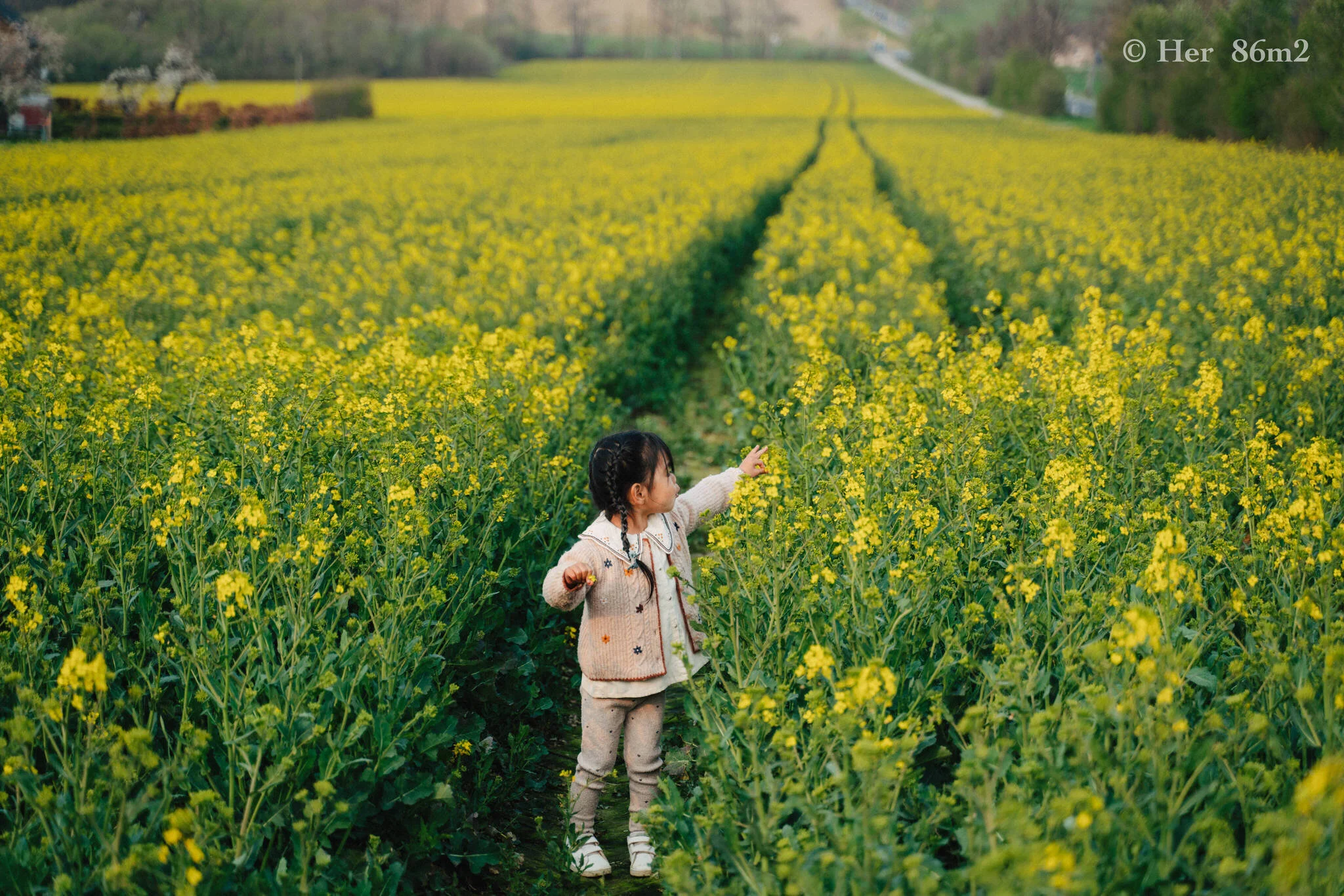 Spring's Arrival: Ten Thousands Doors of April — HER 86m2 - by Thuy Dao