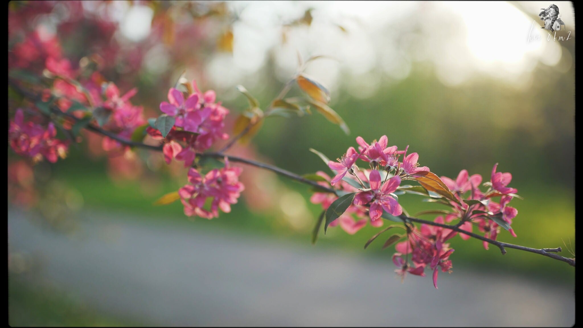 Spring's Arrival: Ten Thousands Doors of April — HER 86m2 - by Thuy Dao