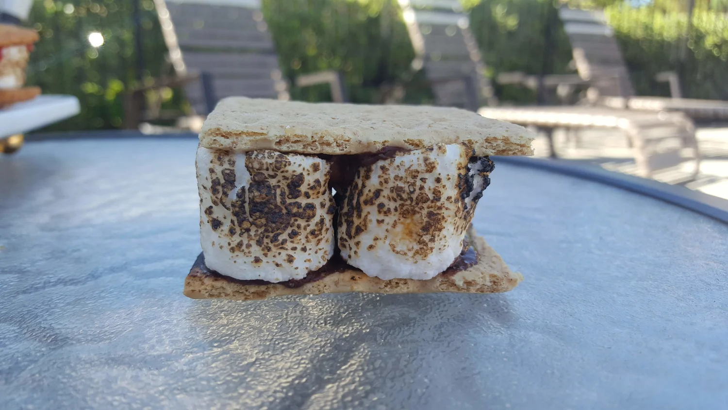 14 Gourmet S'mores Recipes — The Sweet Savory Life