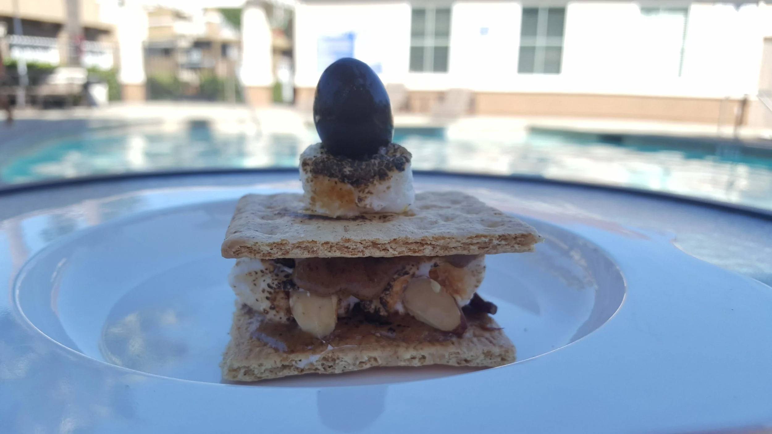 14 Gourmet S'mores Recipes — The Sweet Savory Life