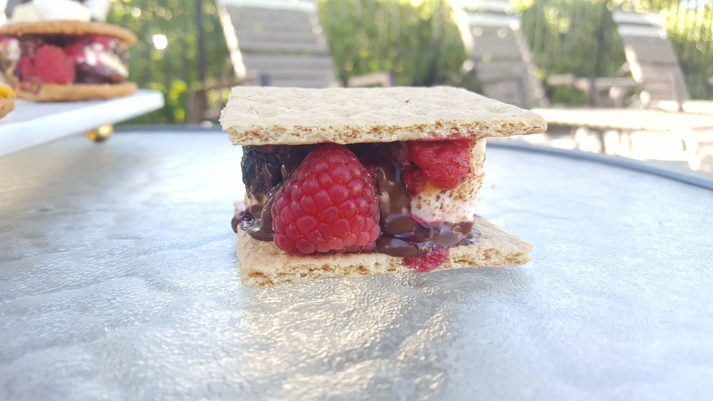 14 Gourmet S'mores Recipes — The Sweet Savory Life